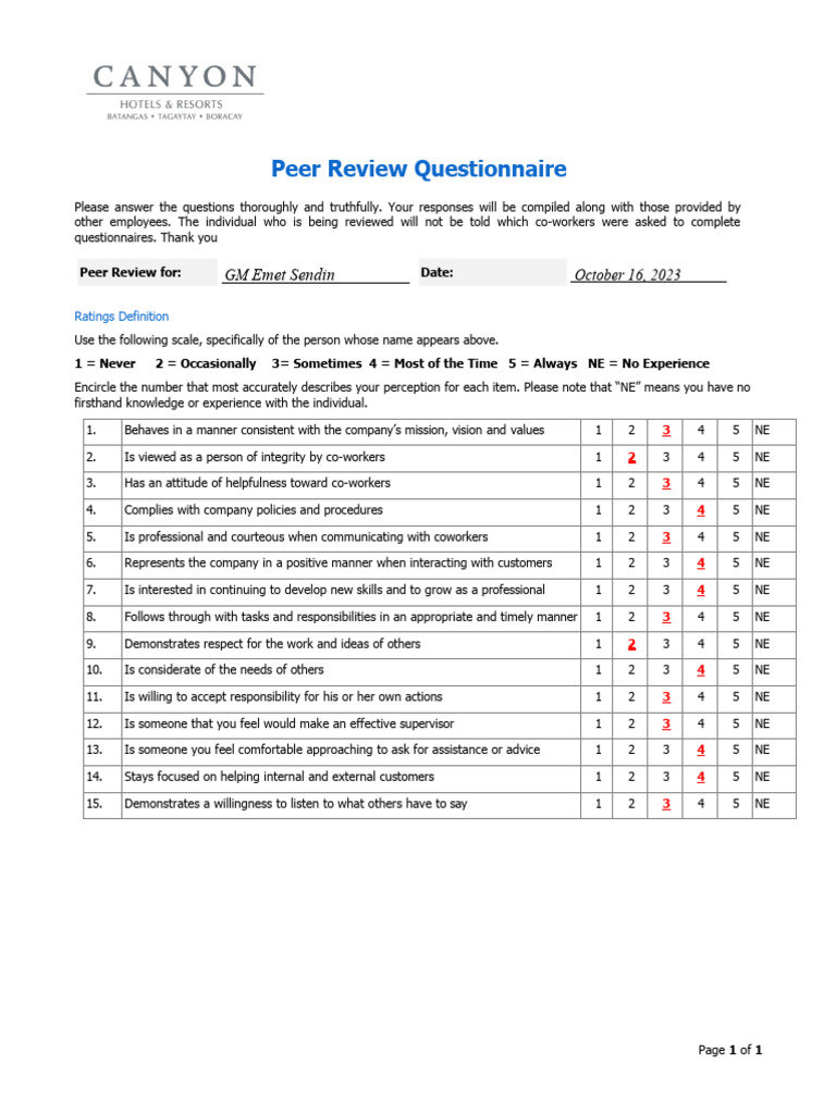 Peer Review Questionnaire - 1 | PDF | Experience | Organizational Behavior