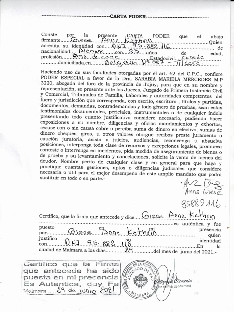 Carta Poder y Dni de ANNA GIESE. - ESPAÑOL | PDF