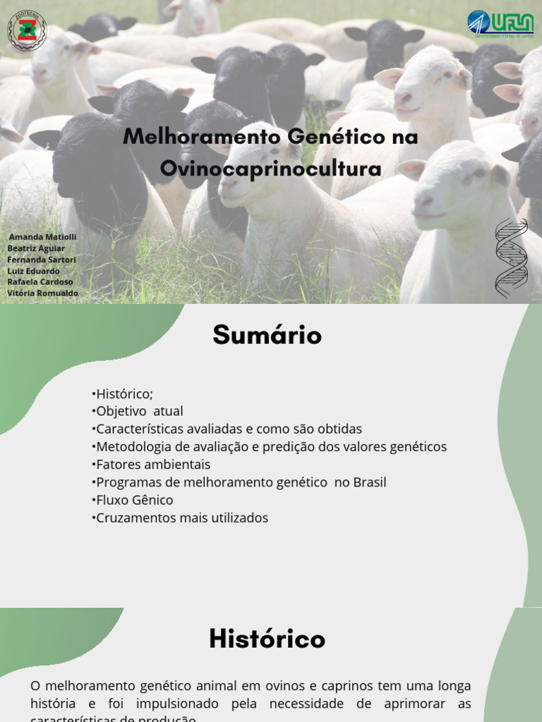 Melhoramento Caprinos e Ovinos | PDF | Ovelhas | Genética