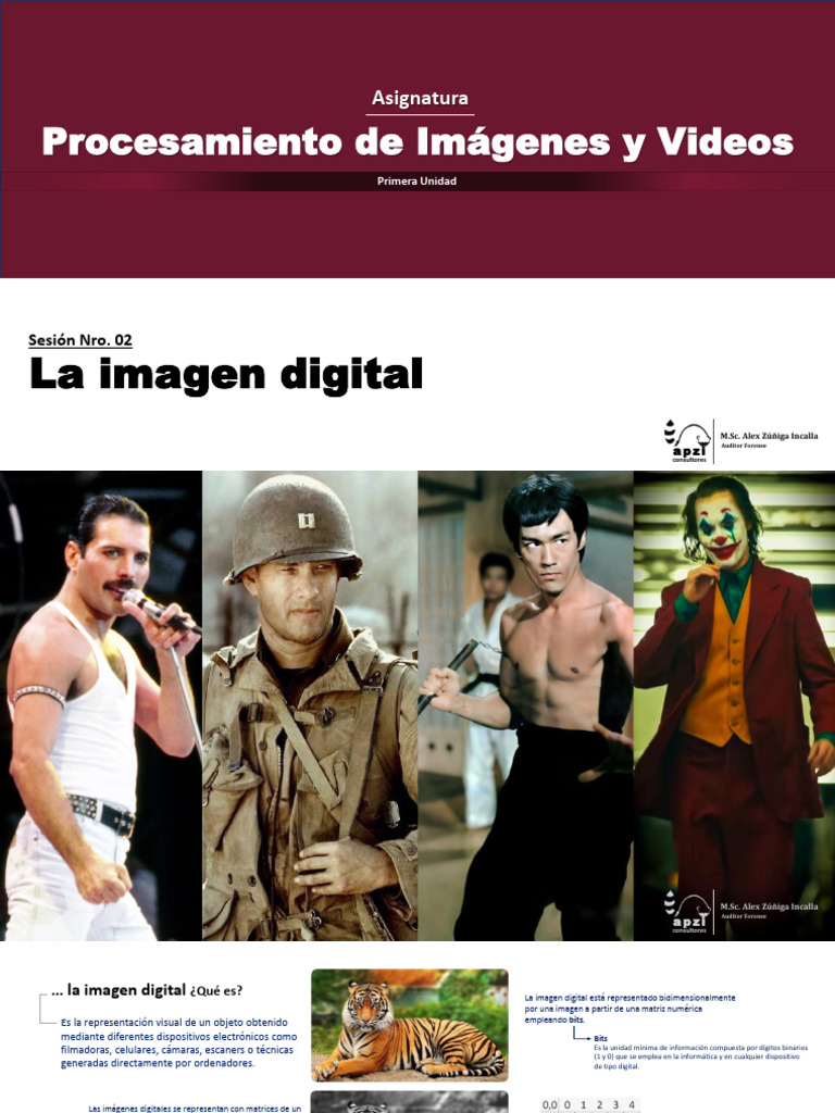 La Imagen Digital | PDF | Ojo | Píxel