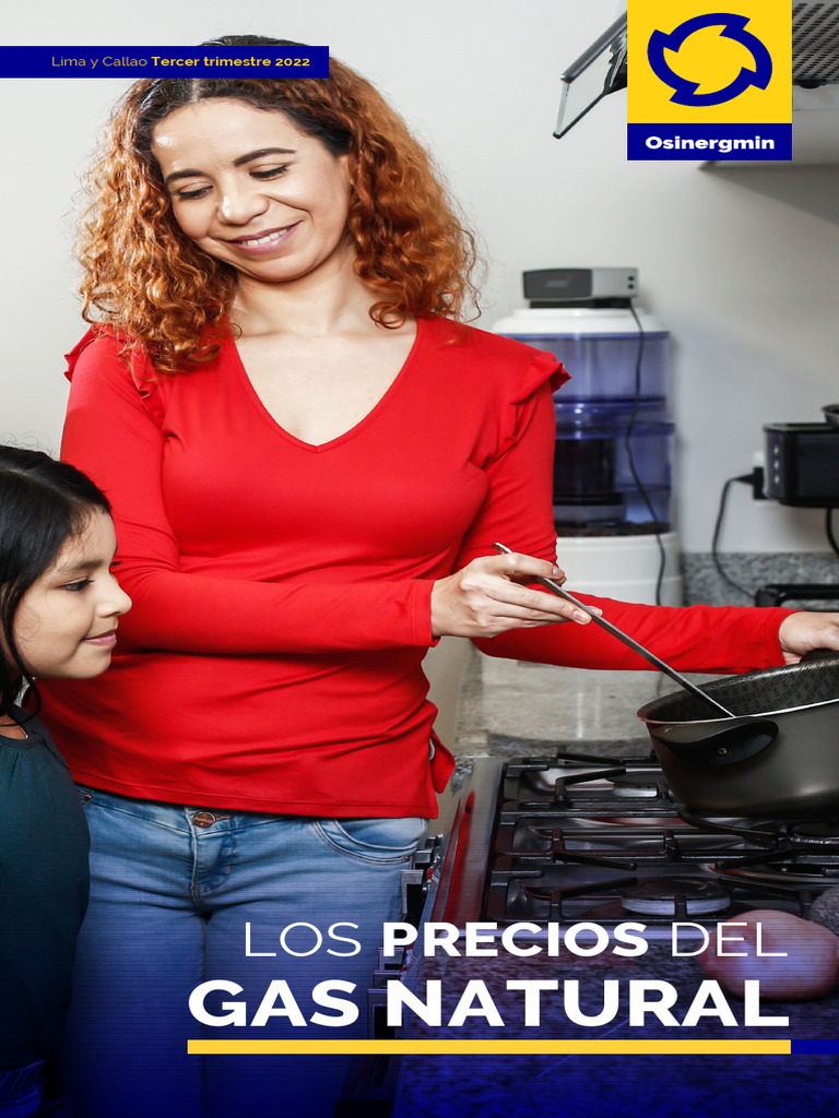 Precios y Ahorros del Gas Natural 2022 | PDF | Economias