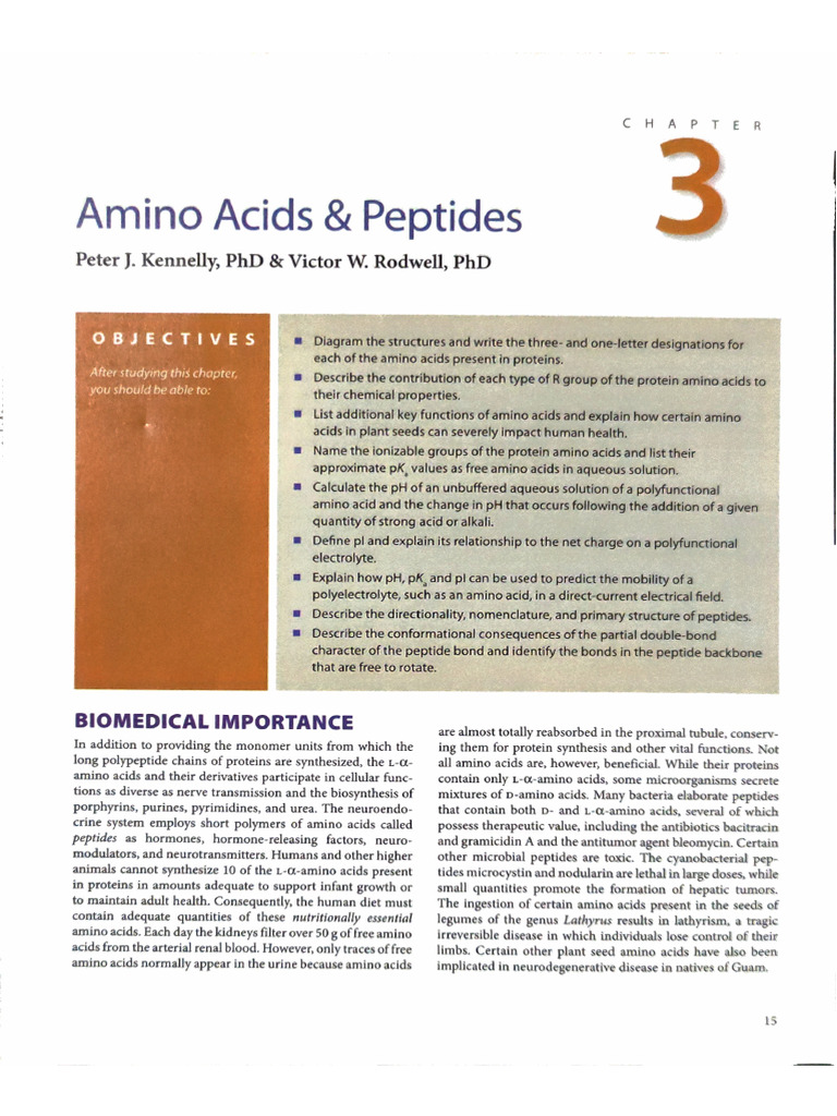 AMINO ACIDS AND PEPTIDES - Structure and Functions of Protein and ...