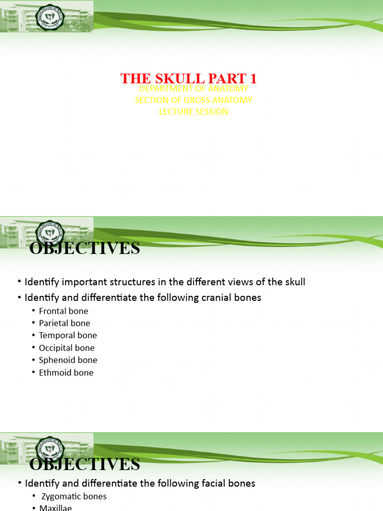 Skull Part 1 Pdf Skull Human Nose