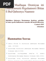 Beeksisa Caalbaasii 2016 | PDF