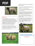 Ficha Técnica Del Pasto Imperial (Axonopus Scoparius, Hitchc) | PDF ...