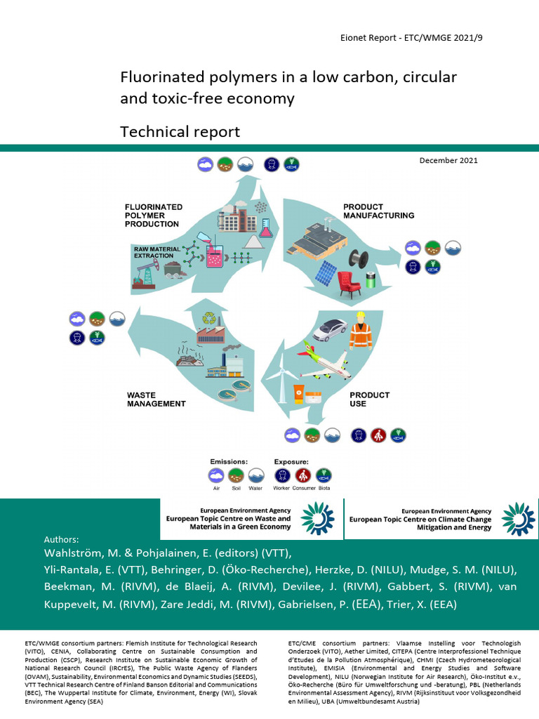 EEA Task On Fluoropolymers - Full Report - December 14 2021 | PDF ...