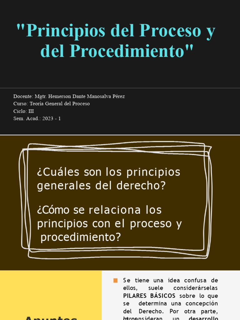 Principios del Derecho Procesal | PDF | Ley procesal | Jurisdicción