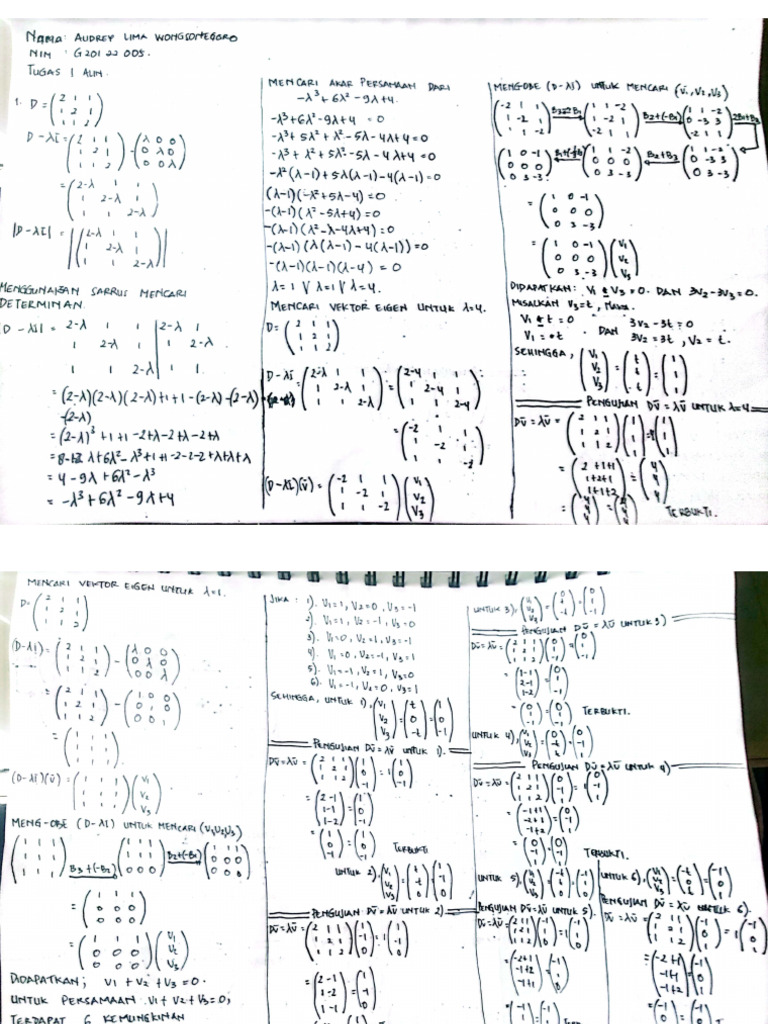 Tugas 1 Aljabar Linear - Audrey Lima Wongsonegoro-G20122005 | PDF