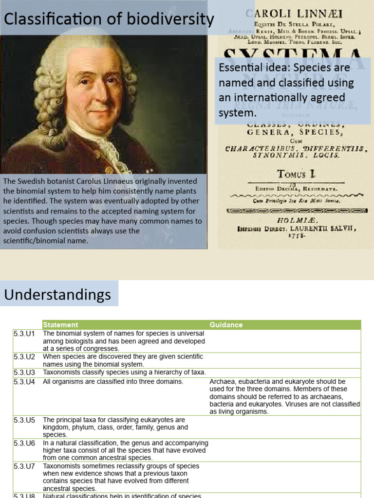 Classification | PDF | Prokaryote | Taxonomy (Biology)