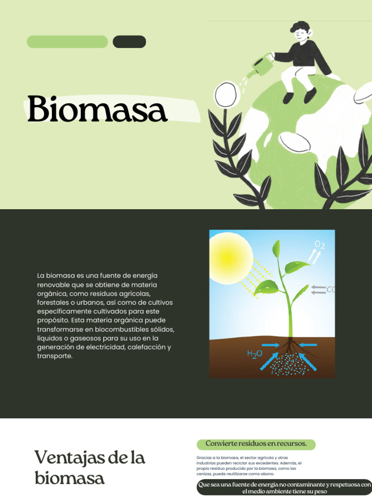 Biomasa | PDF | Biomasa | Energía renovable
