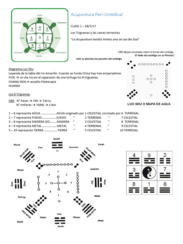 Acupuntura Peri-Umbilical y Trigramas | PDF | Abdomen | Especialidades ...