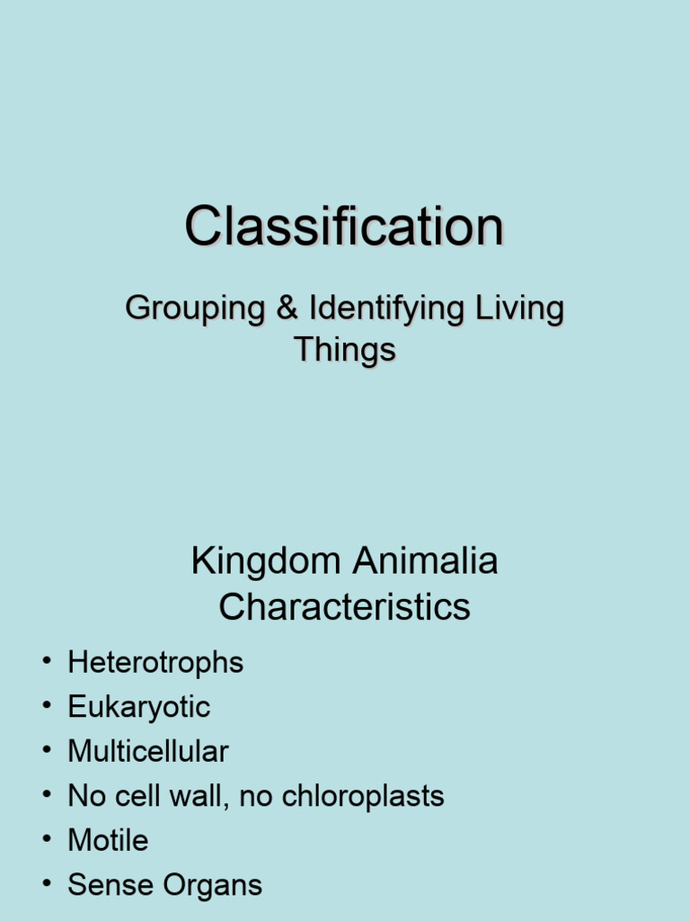 Kingdom-Animalia | PDF | Invertebrate | Biology