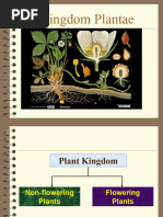 Grade 6 - Classification of Plants | PDF