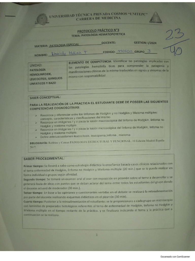 protocolo 3 pe | PDF