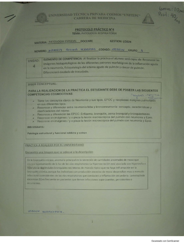 protocolo 4 pe | PDF