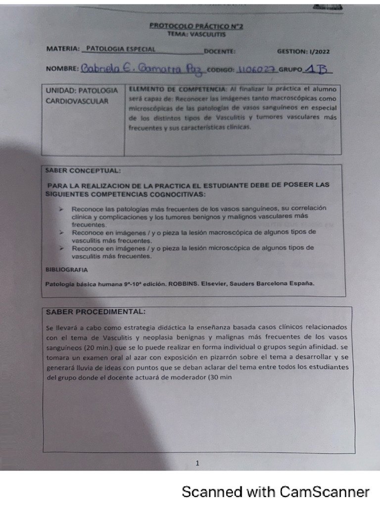 Protocolo 2 Vasculitis | PDF