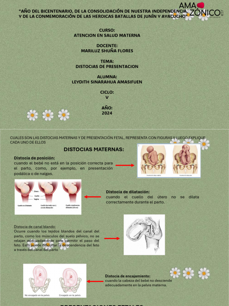 06 Distocias de Presentacion | PDF | Parto | La salud de la mujer
