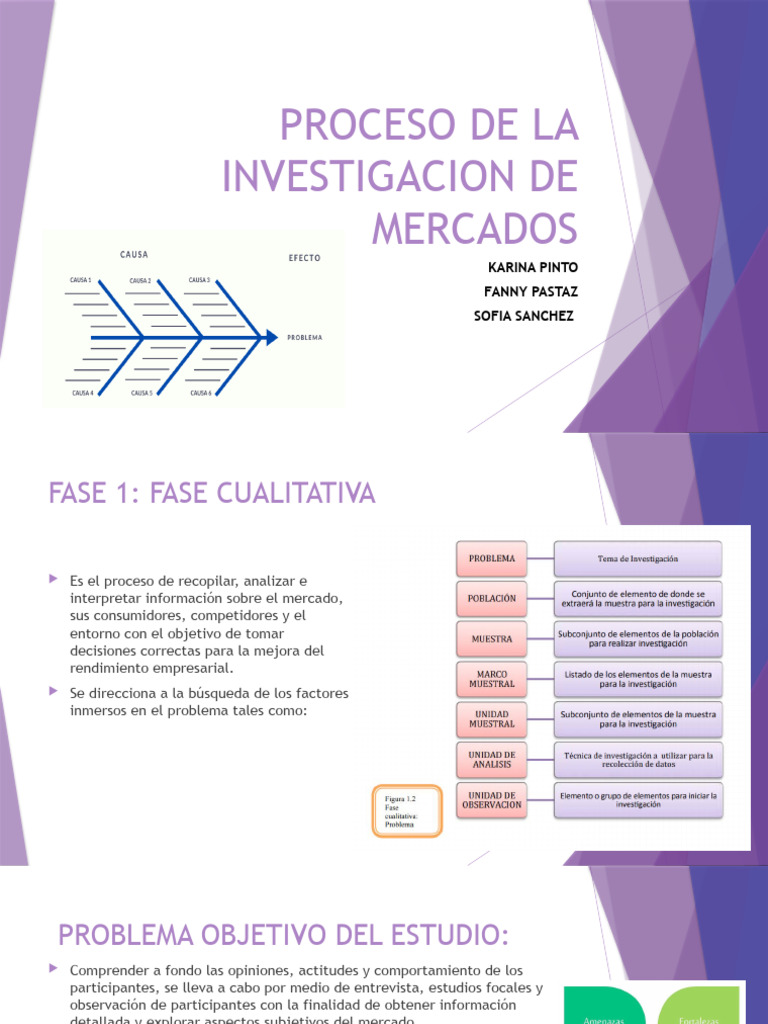 Proceso de La Investigacion de Mercados | PDF