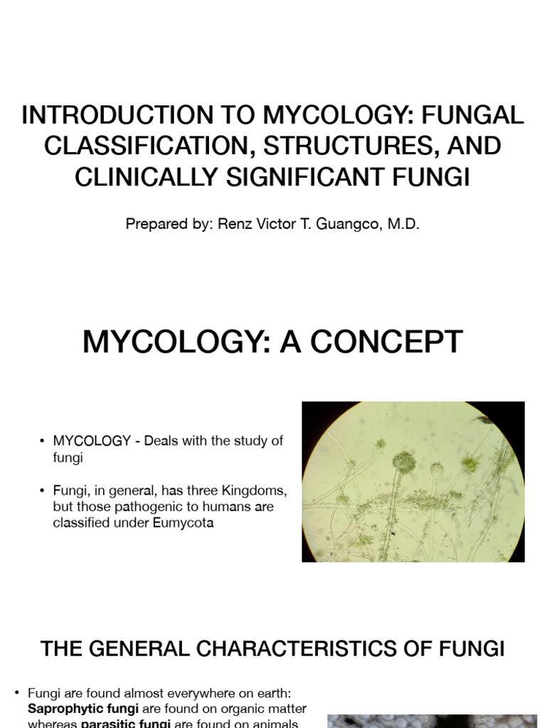 04 - Introduction To Mycology and Protozoology | PDF | Fungus | Yeast