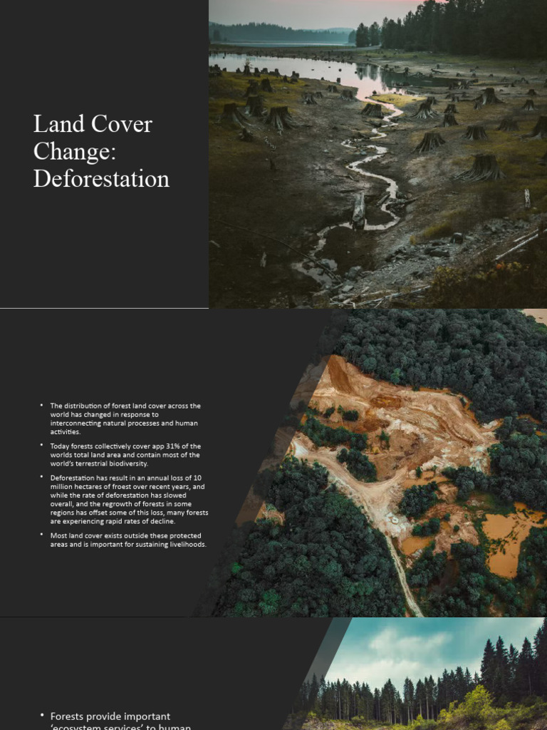 Chapter 8 - Deforestation-Land Cover Change-1 | PDF | Forests ...