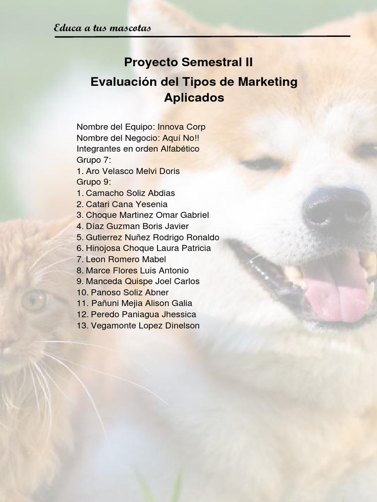 Proyecto Semestral II | Descargar gratis PDF | Business | Marketing