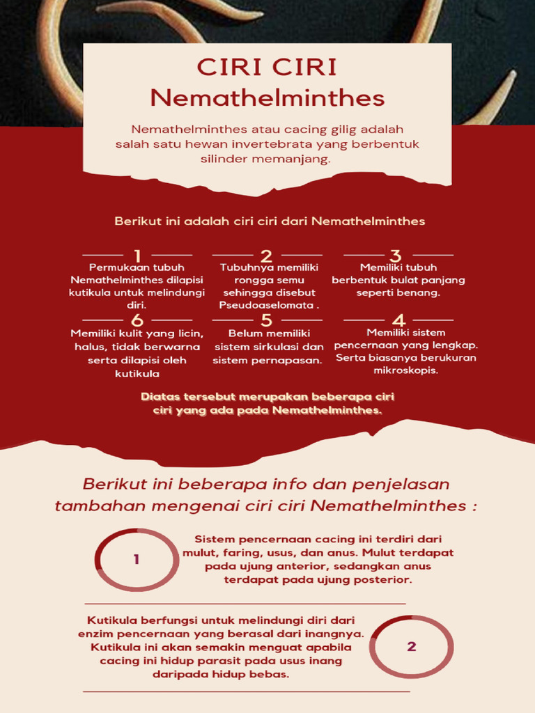 ciri ciri Nemathelminthes | PDF