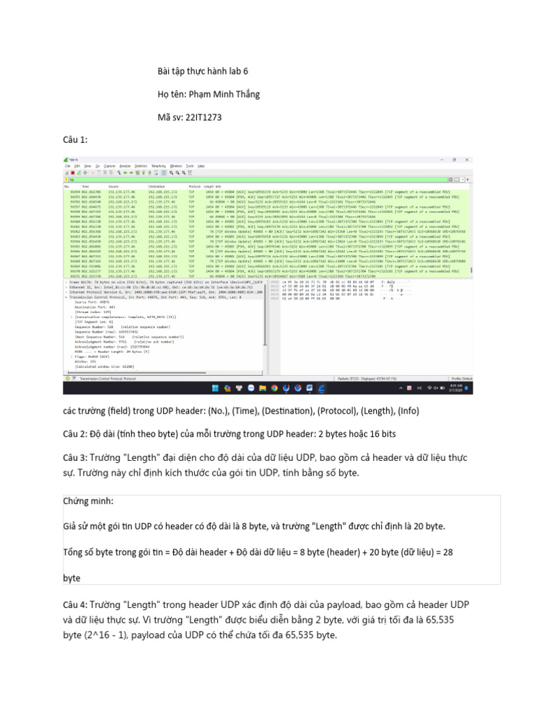 Bài tập thực hành lab 6 | PDF