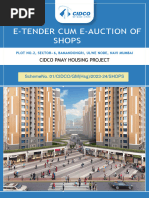 VMRDA Master Plan 2041 Overview | PDF | Urban Planning | Surveying