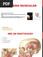 Nomes de 100 Músculos Do Corpo Humano | PDF | Sistema Locomotor ...