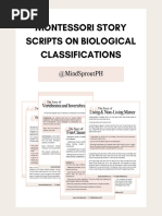 Branching Key Worksheet for Animals | PDF | Invertebrate | Zoology