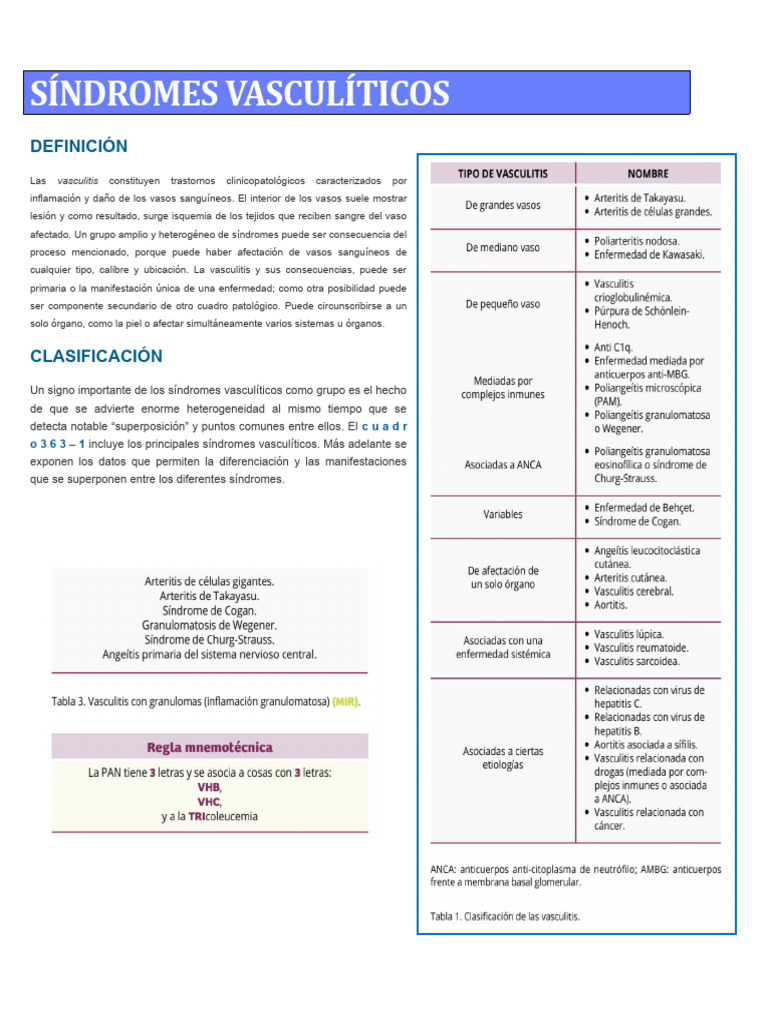 Síndromes Vasculíticos | PDF | Sistema inmune | Enfermedades y trastornos