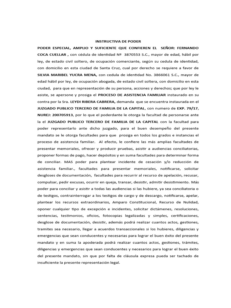Instructiva de Poder-Proceso Familiar Fernando | Descargar gratis PDF | Documento de identidad ...