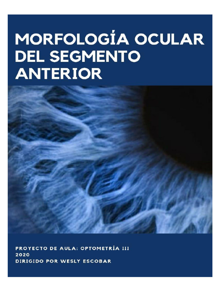 LIBRO_DE_MORFOLOGIA | PDF | Anatomía | Anatomía humana