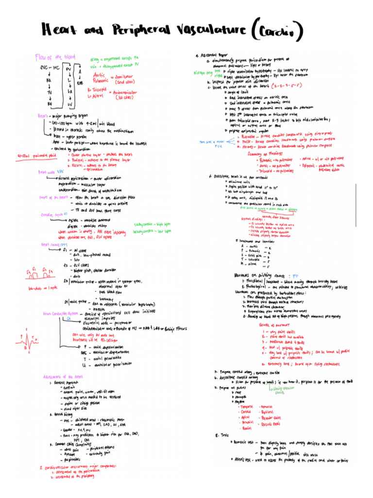 HA - Cardio | PDF