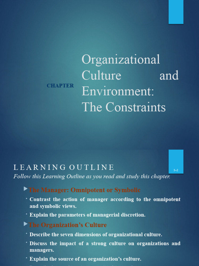 Chapter 3 Managing The External Environment | PDF | Organizational ...