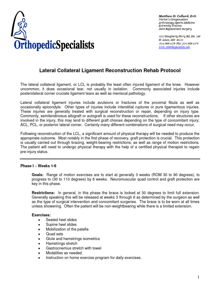 Acl Guide Pdf Musculoskeletal System Lower Limb Anatomy