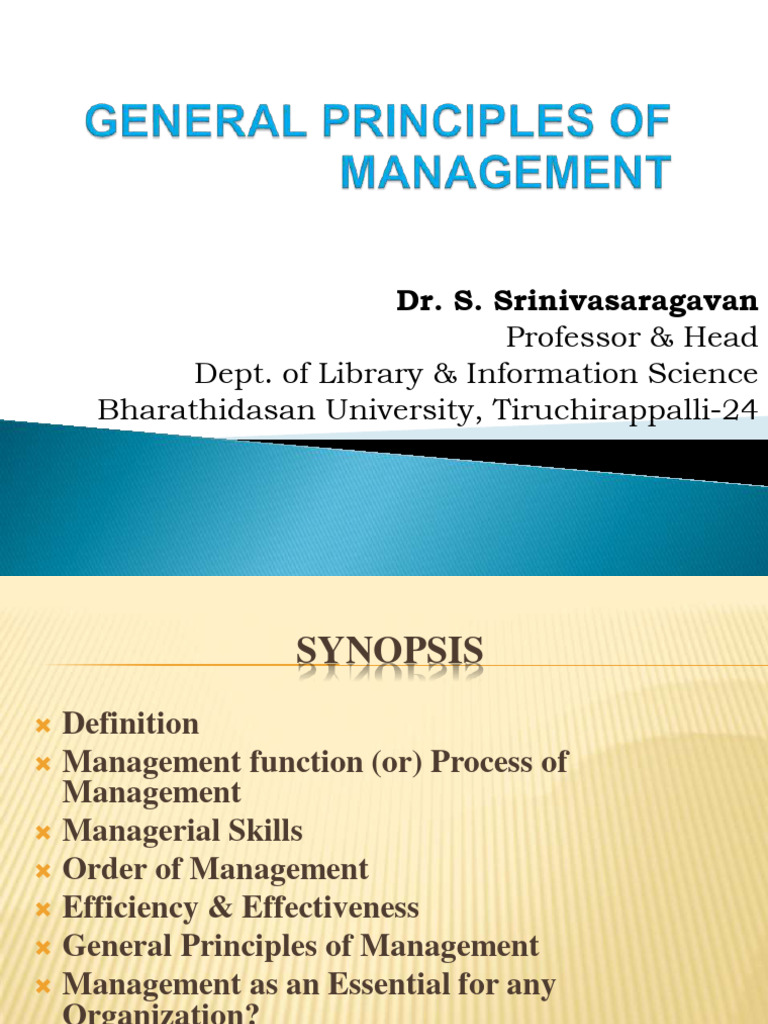 Principles of Management Overview | PDF | Business | Economies