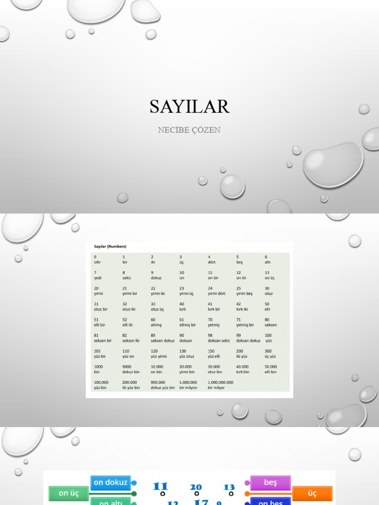 SAYILAR | PDF