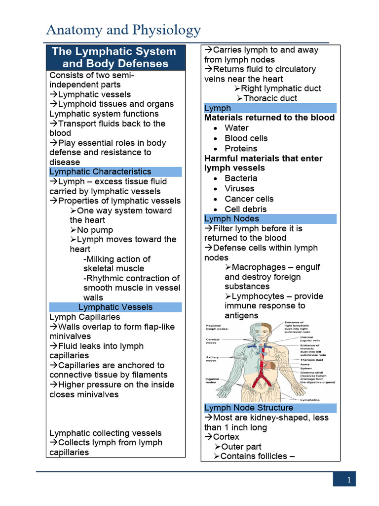 The Lymphatic System | PDF | Lymph | Lymphatic System
