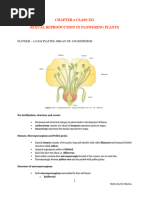 The Flowers by Alice Walker | PDF