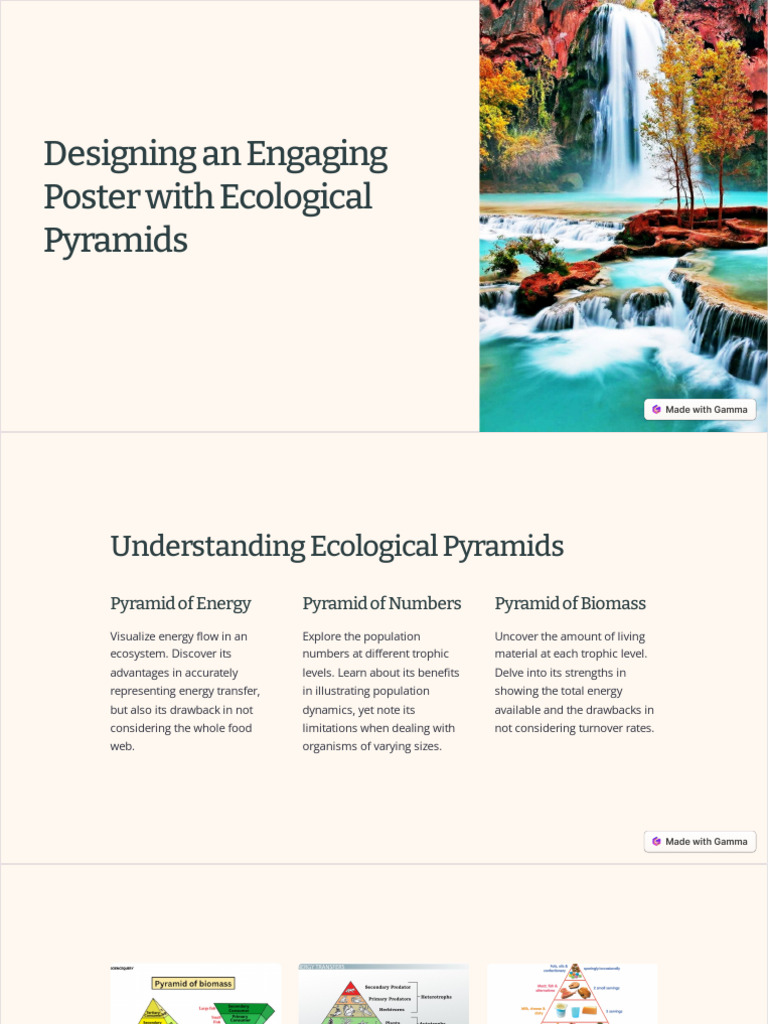 Designing An Engaging Poster With Ecological Pyramids 4 | PDF | Food ...