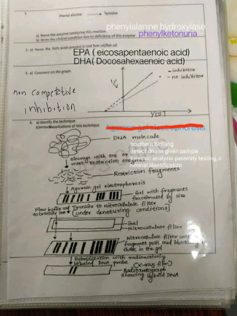 Biochem Chart | Download Free PDF | Lipid | Chemical Substances
