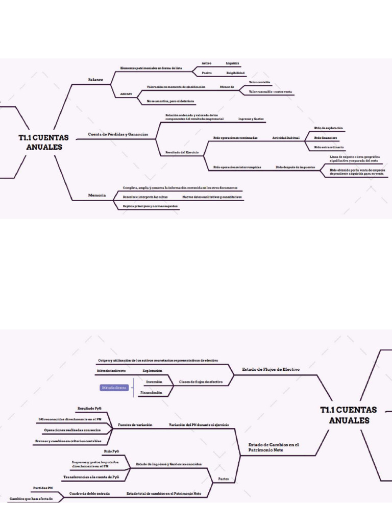 Esquema Auditoría | PDF