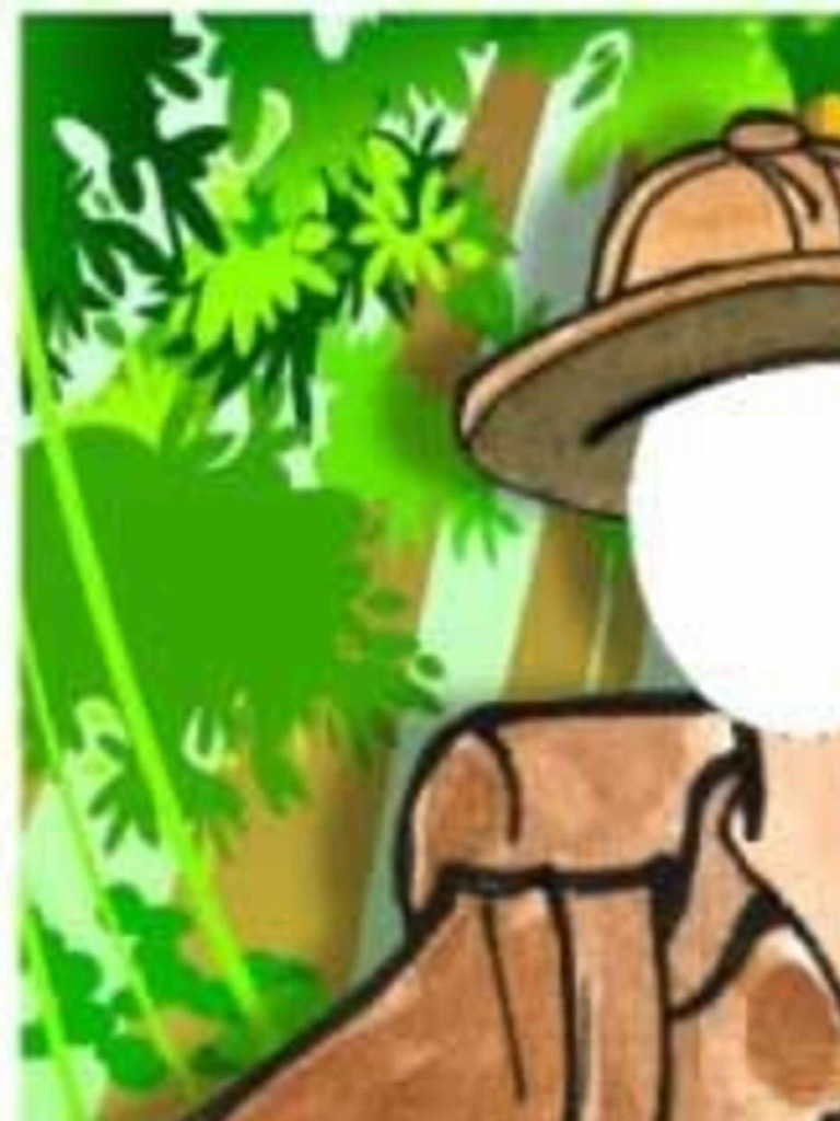 poster explorator 2 | PDF