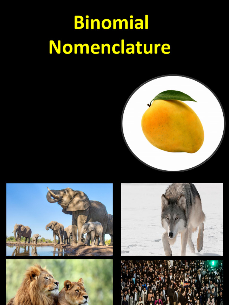 Understanding Binomial Nomenclature | PDF | Genus | Biological Classification