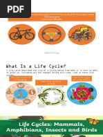 Lizard Life Cycle | PDF