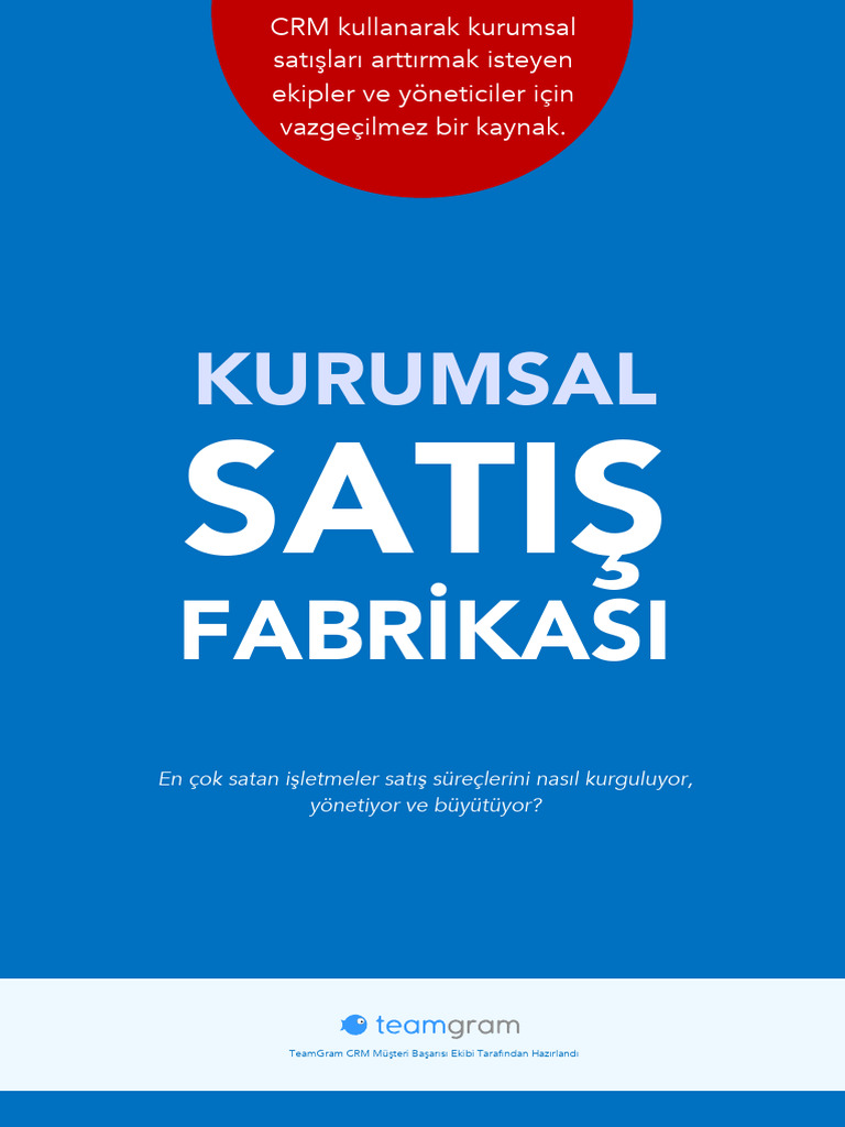 TeamGram Satis Fabrikasi | PDF
