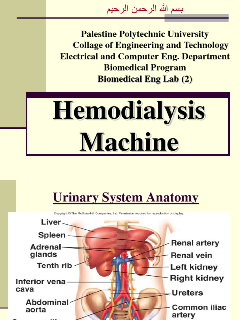 Hemodialysis Machine 2021 | PDF | Hemodialysis | Kidney