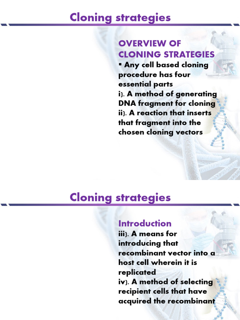 Cloning Strategies | PDF