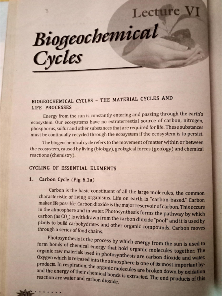 Envisci Module 6 | PDF